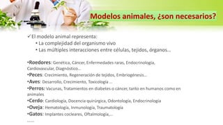 Bienestar Animal Clase 3. Animales de experimentacion.pptx