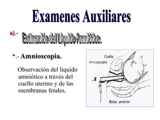 Bienestar fetal | PPT