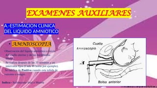 BIENESTAR FETAL 2025-I (1).pptx- anatomia uterina | PPTX