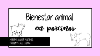 BIENESTAR PORCINOS.pdf