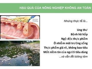 Thuyết trình nông nghiệp hữu cơ Biên Giang, Hà Đông - Ths. Hoàng Sơn Công | PPT