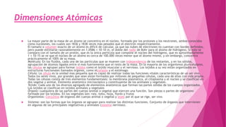 Bienvenidos a la presentación de biología | PPT