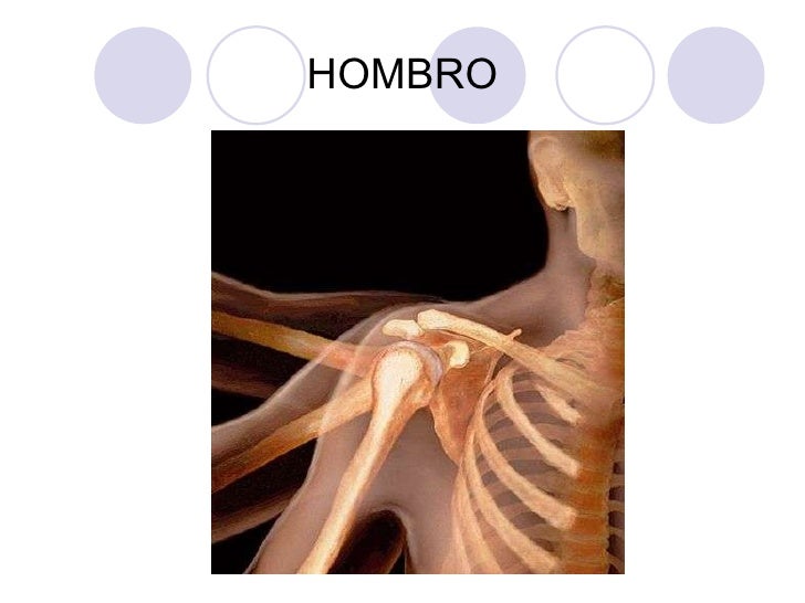 Recreacin Animada En 3d De La Anatomia Del Hombro Youtube