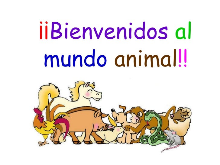 ¡Bienvenidos al mundo animal! ¡Bienvenidos al mundo animal!