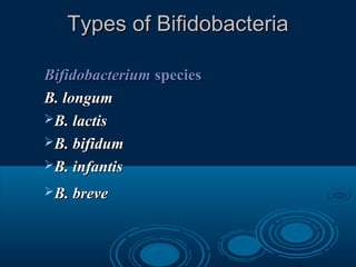 Bifidobacteria & prebiotic | PPT
