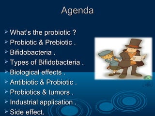 Bifidobacteria & prebiotic | PPT