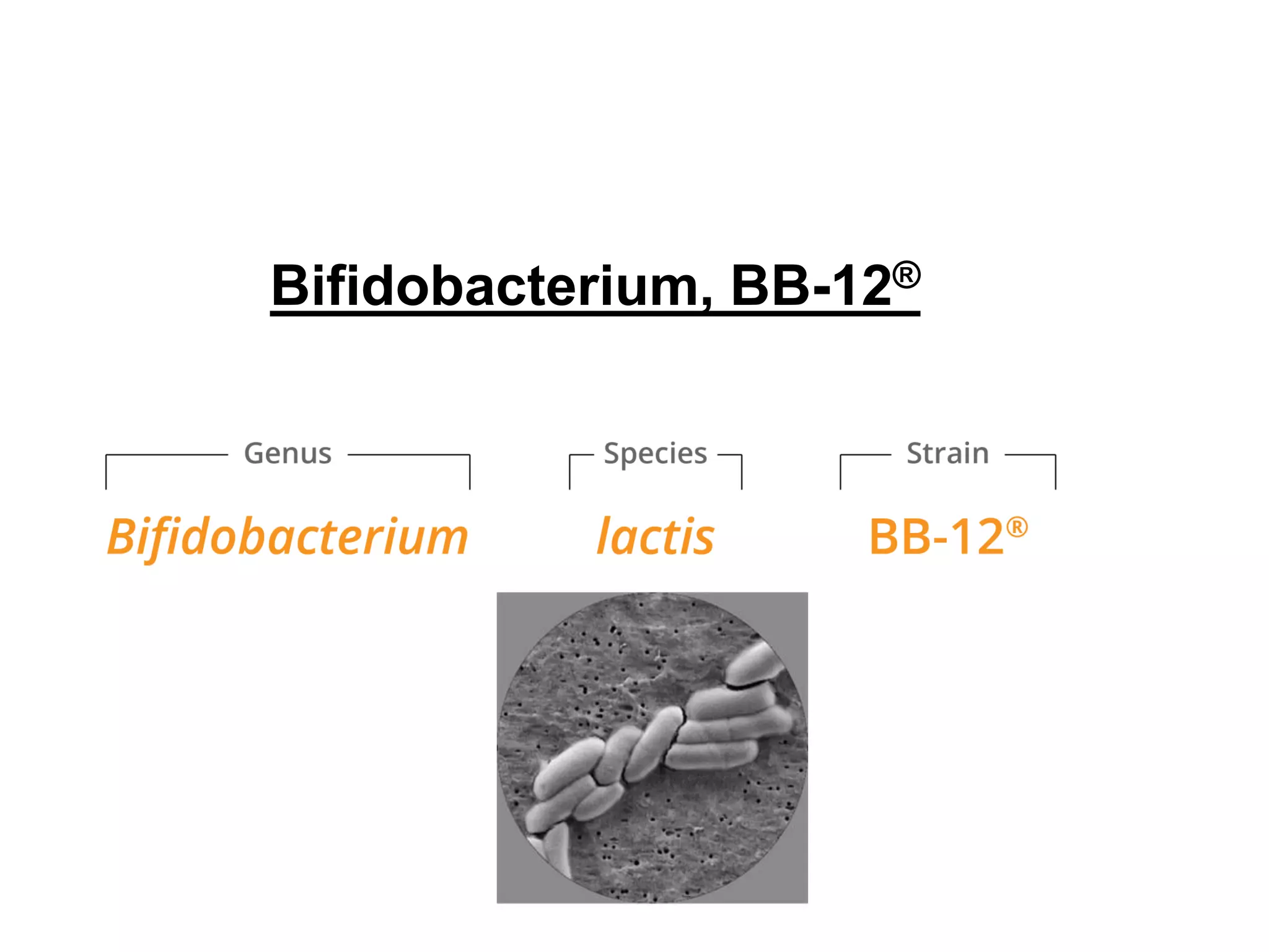 Bifidobacterium, BB-12®.pdf