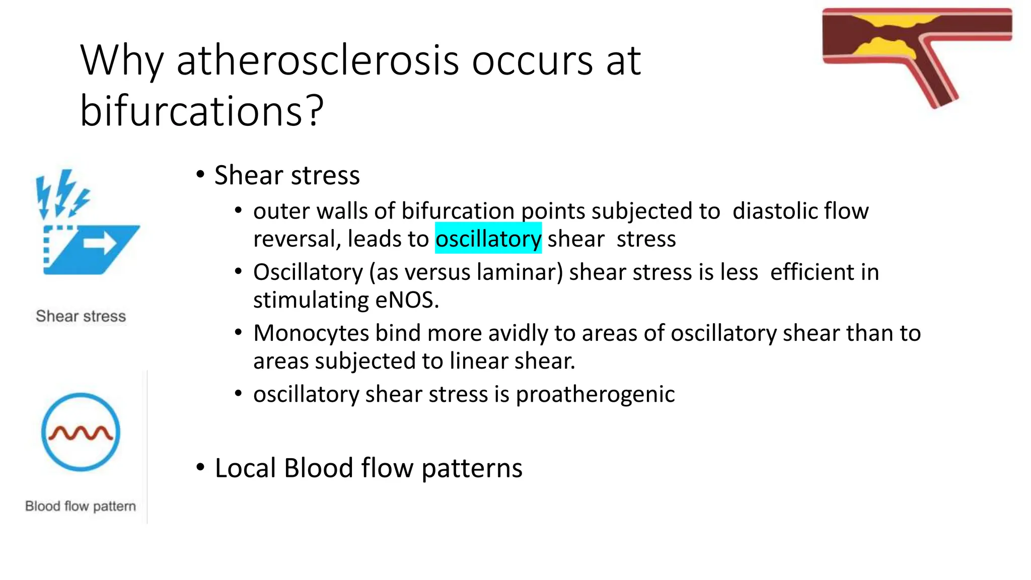 Bifurcation Stenting - BASICS.DR SADDAM HUSSAIN PGR CARDIOLOGY,MTI LRH.pptx