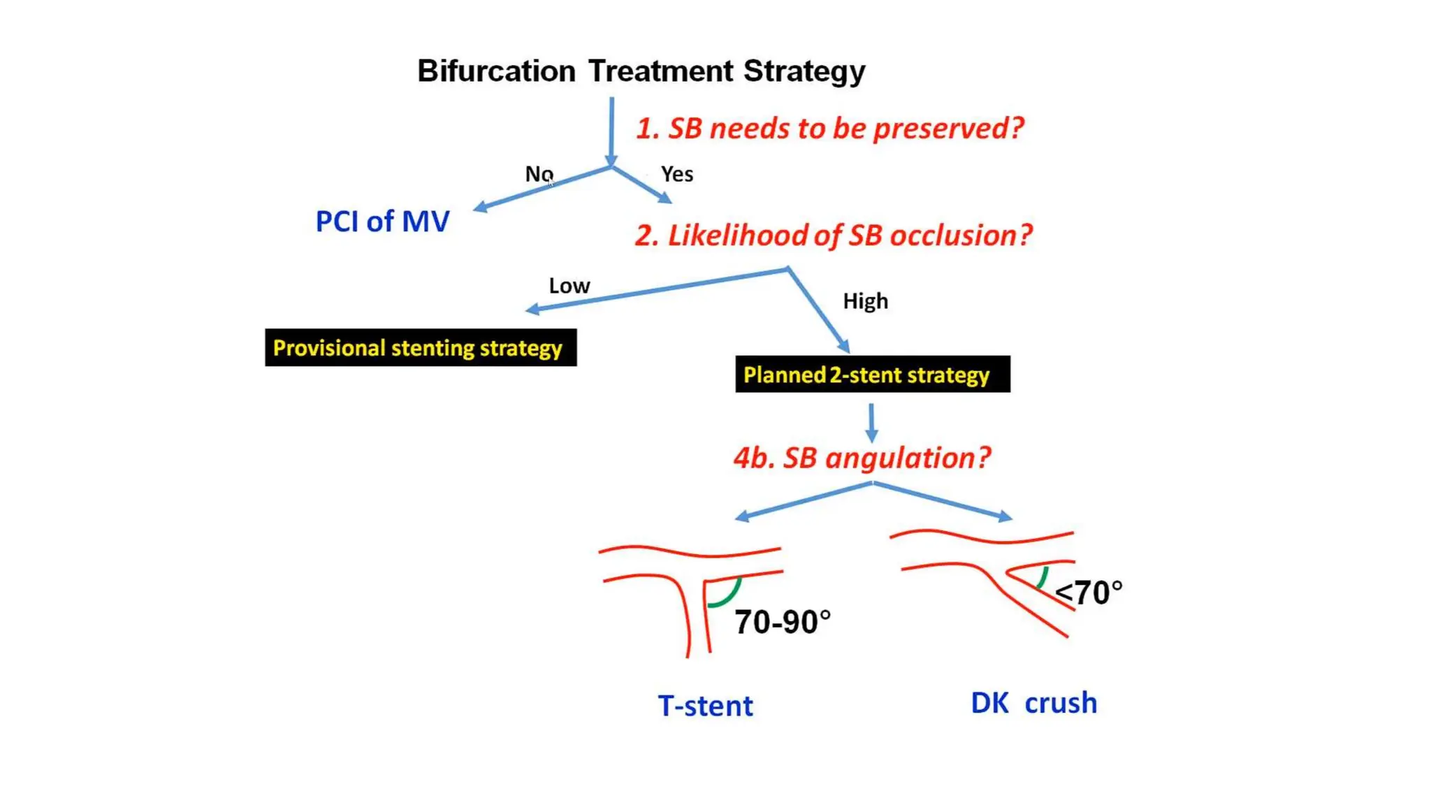 Bifurcation Stenting - BASICS.DR SADDAM HUSSAIN PGR CARDIOLOGY,MTI LRH.pptx