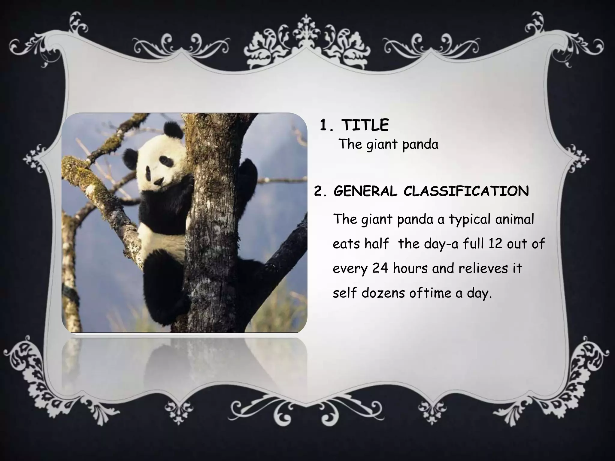 english about Panda | PPTX