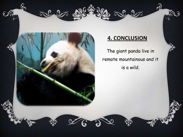 english about Panda | PPT
