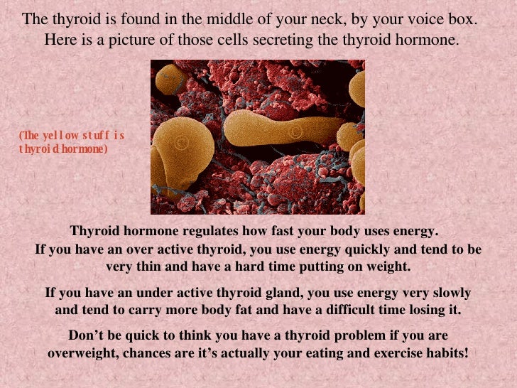 3 Macromolecules Found In Our Diet - dexnews