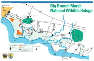Big Branch Marsh Map | PDF