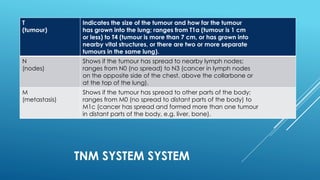 big-C.pdf power for colon and lung cancer presentation | PDF