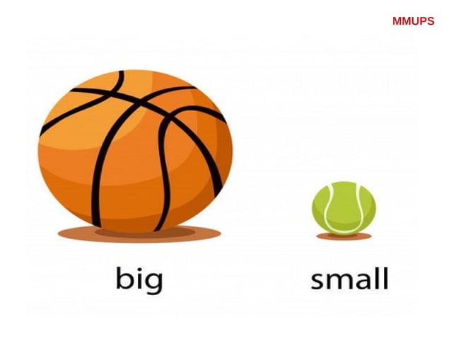 Big and small pictures | PDF