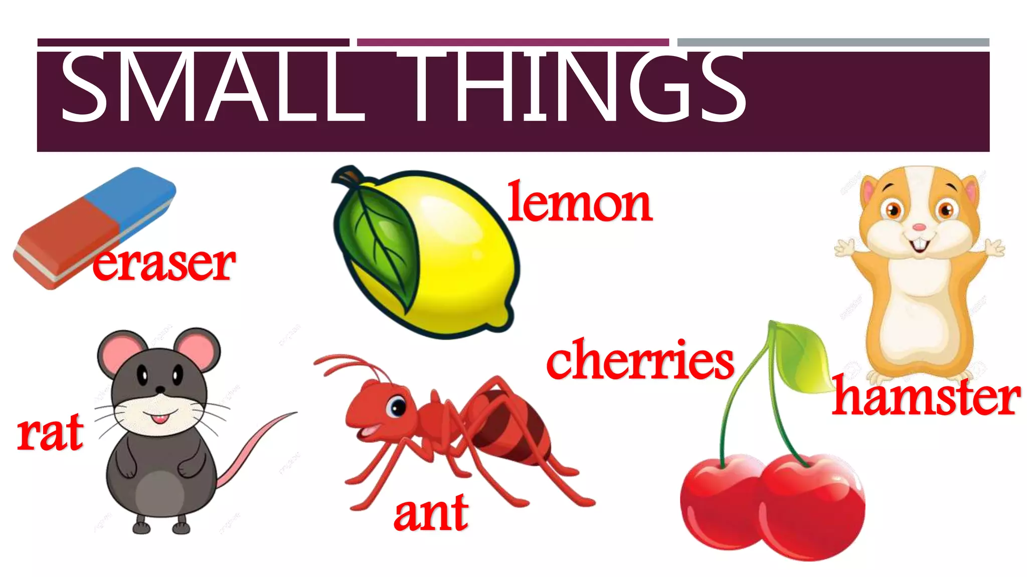 BIG and SMALL | PPTX