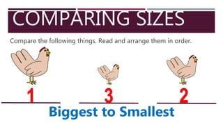 BIG and SMALL | PPTX