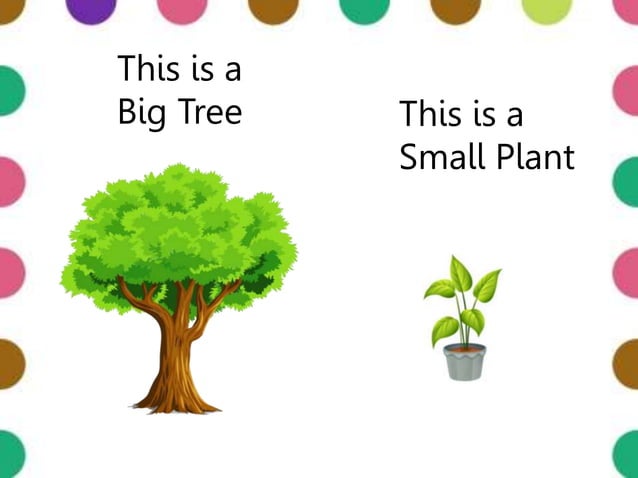BIG AND SMALL LESSON for mathematics.pptx | Large Animals | Pets