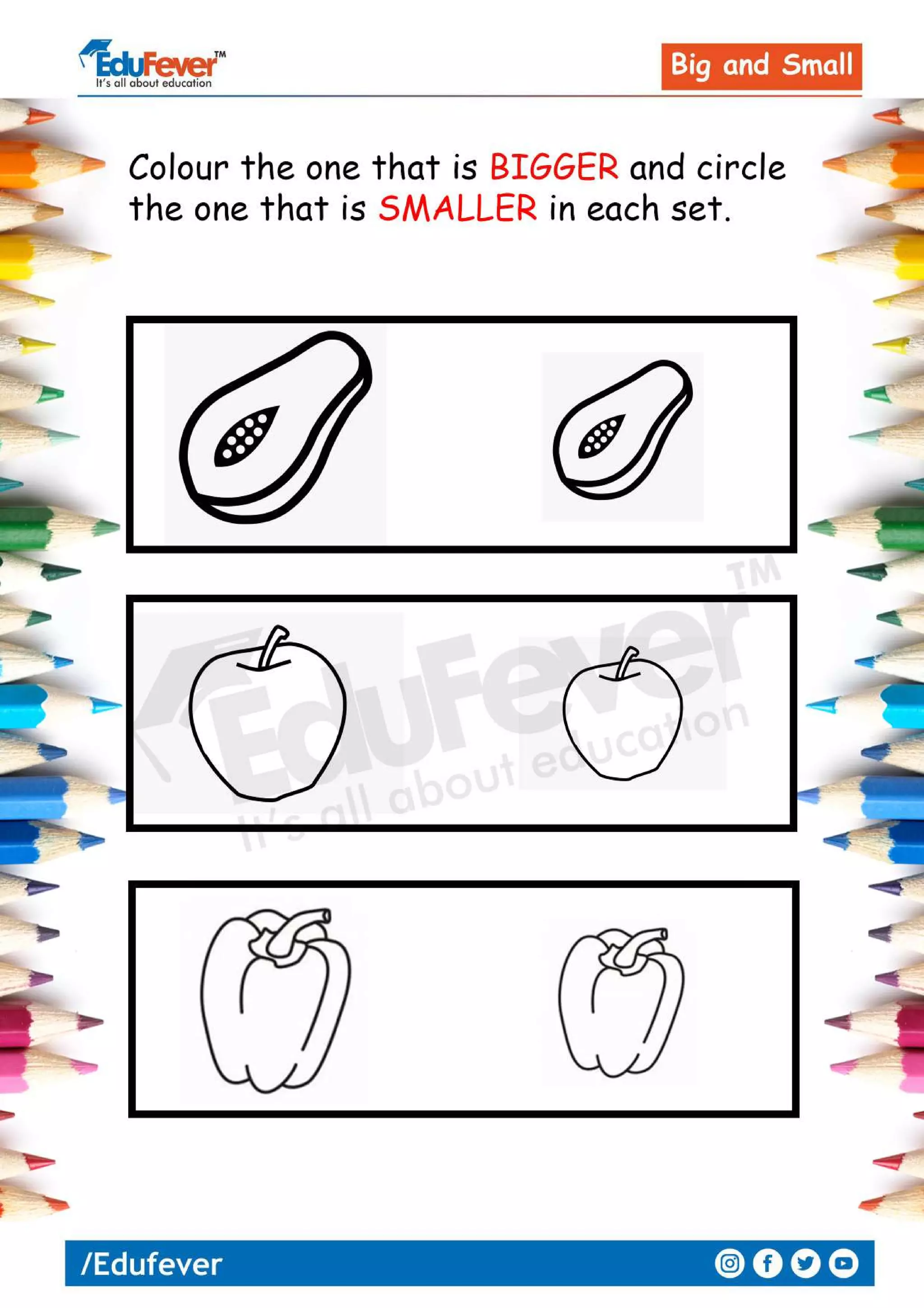 Big and Small LKG worksheet | PDF