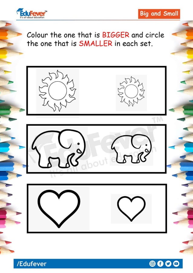 Big and Small LKG worksheet | PDF