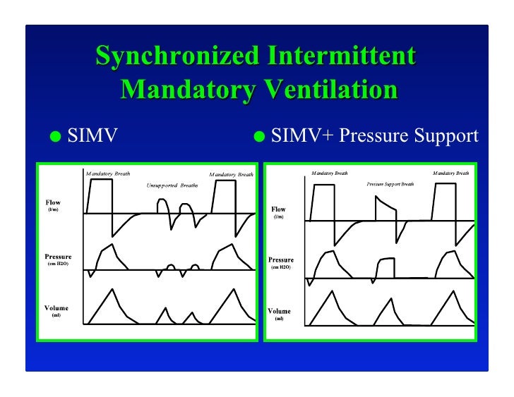 Optimizing Critical Care Ventilation: What can we learn from Ventilat…