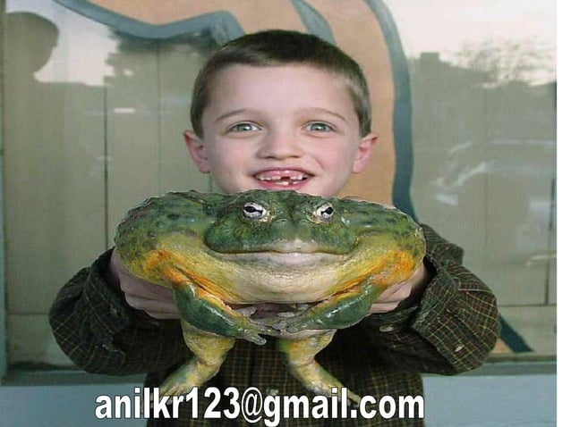 Big, Bigger And Biggest | PPT