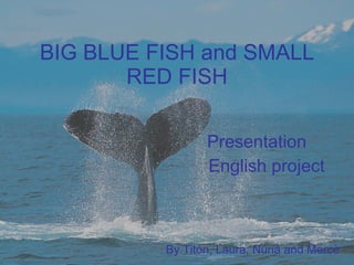 Big blue fish and small red fish | PPT