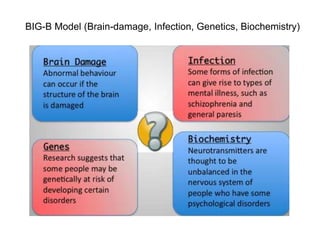 BIG B MODEL (1).ppt