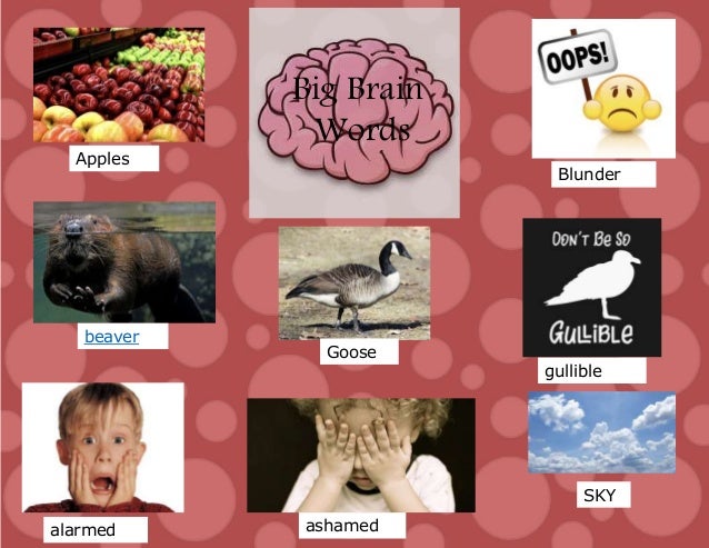 Big Brain Words Unit 4 Lesson 20 Big Brain Words Unit 4 Lesson 20