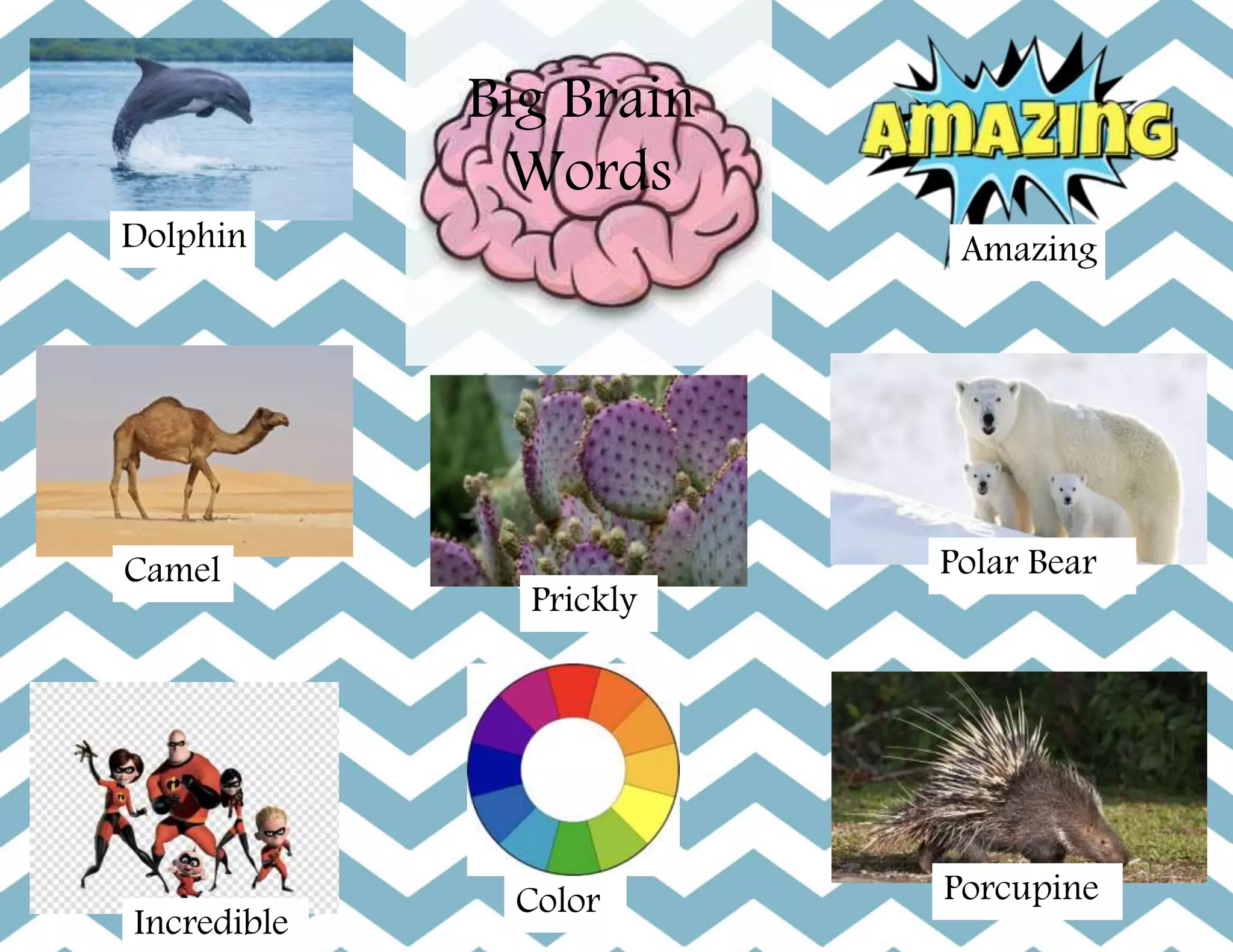 Big brain words unit 5 lesson 22 | PPT