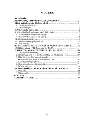 Nghiên cứu marketing tại Big c | PDF