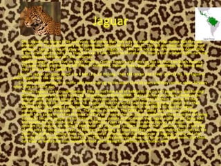 Big cat project 1 | PPTX