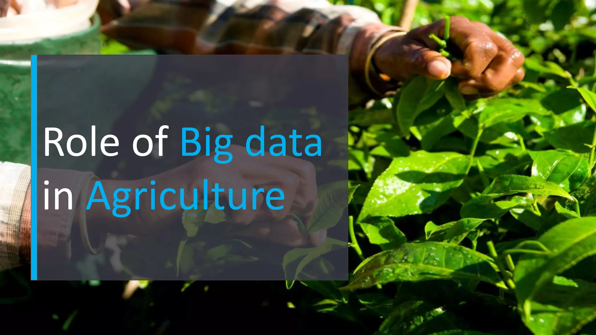 Revolution in Farming with Big Data | PPT