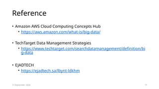 A quick presentation on Big Data Analytics and Applications | PPTX
