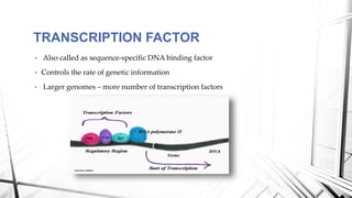 Big data analysing genomics and the bdg project | PPTX
