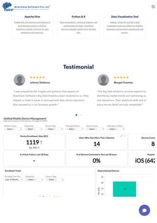 Big Data Analytics Services - BrainCave Soft.pdf