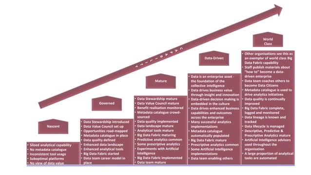Big Data Fabric Capability Maturity Model | PPT