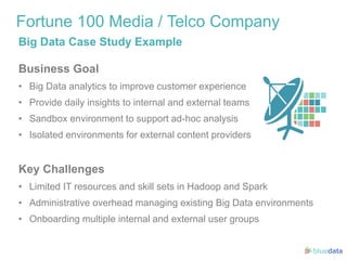 Big Data Case Study: Fortune 100 Telco | PPTX