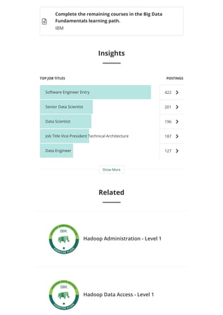 IBM Big Data Foundations - Level 1 | PDF