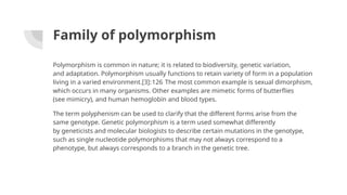 Big data in biology presentation about chromosome | PPTX