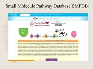 Big data in metabolism | PPTX