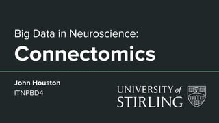 MSc Big Data: Connectomics Talk | PDF