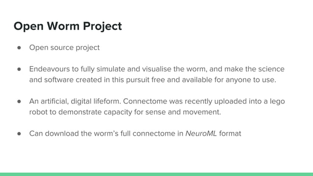 MSc Big Data: Connectomics Talk | PDF