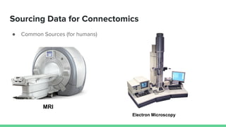 MSc Big Data: Connectomics Talk | PDF
