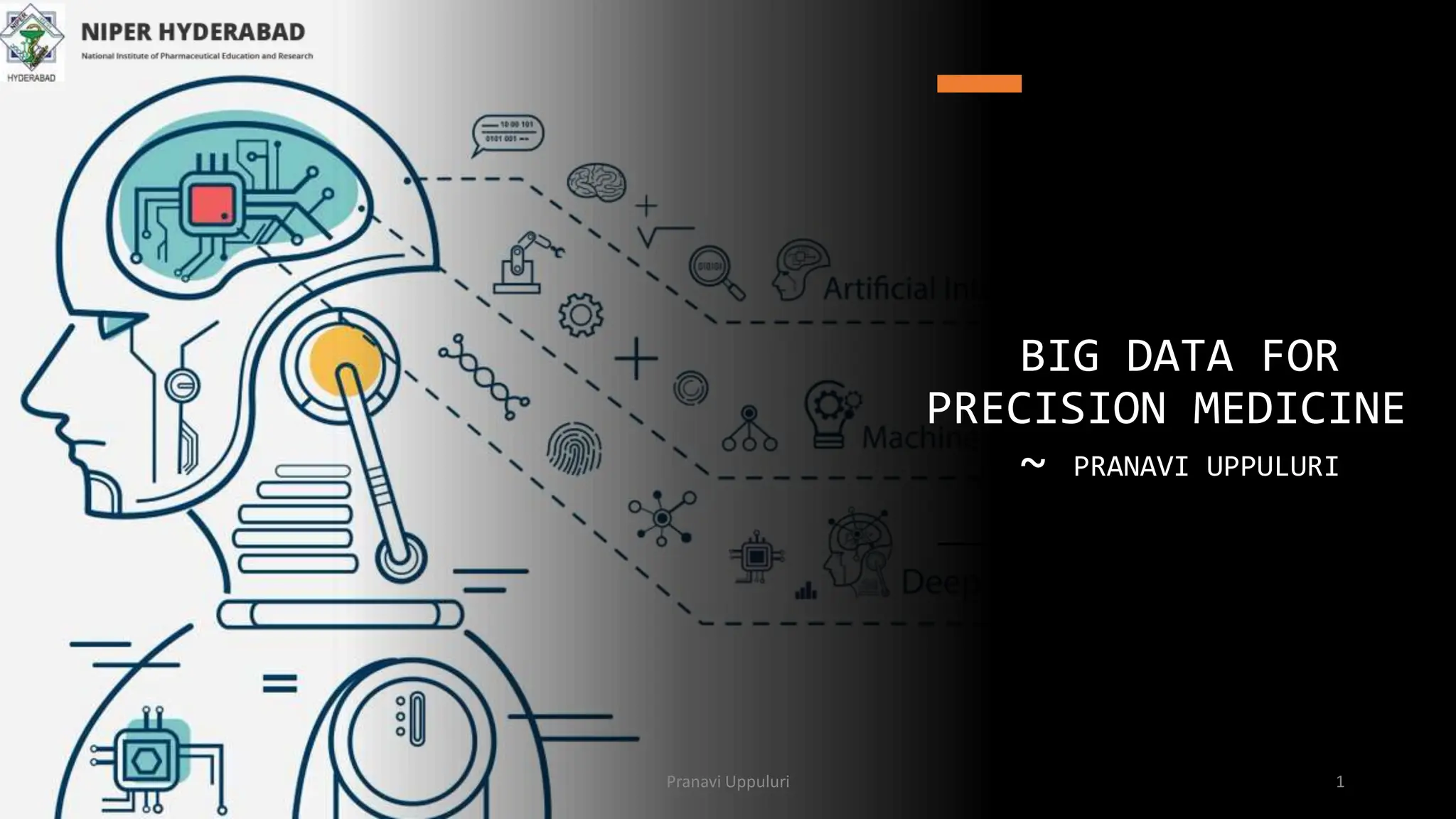 Big data in precision medicine.pptx