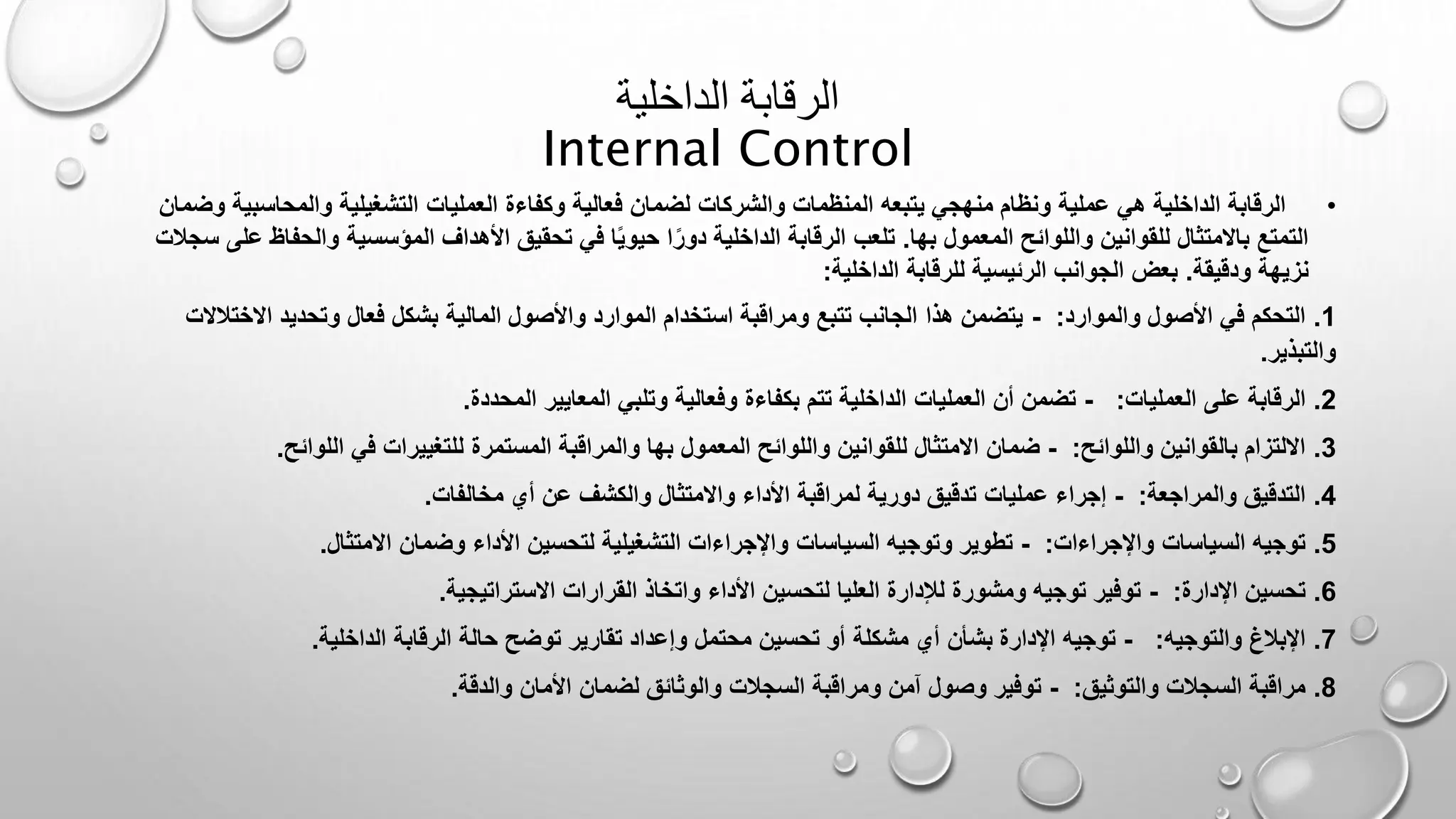 Big Data & Internal control.pptx
