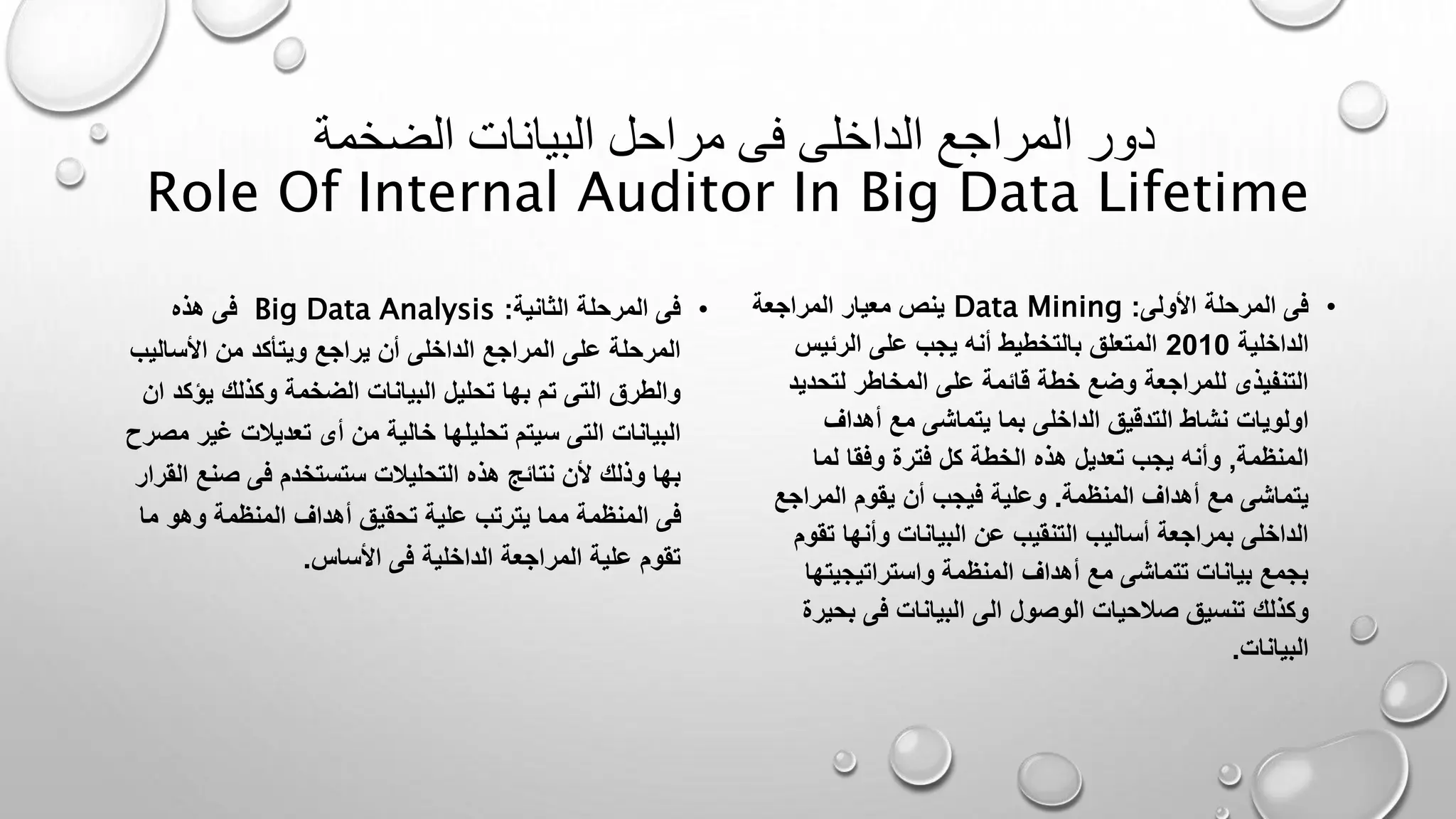 Big Data & Internal control.pptx