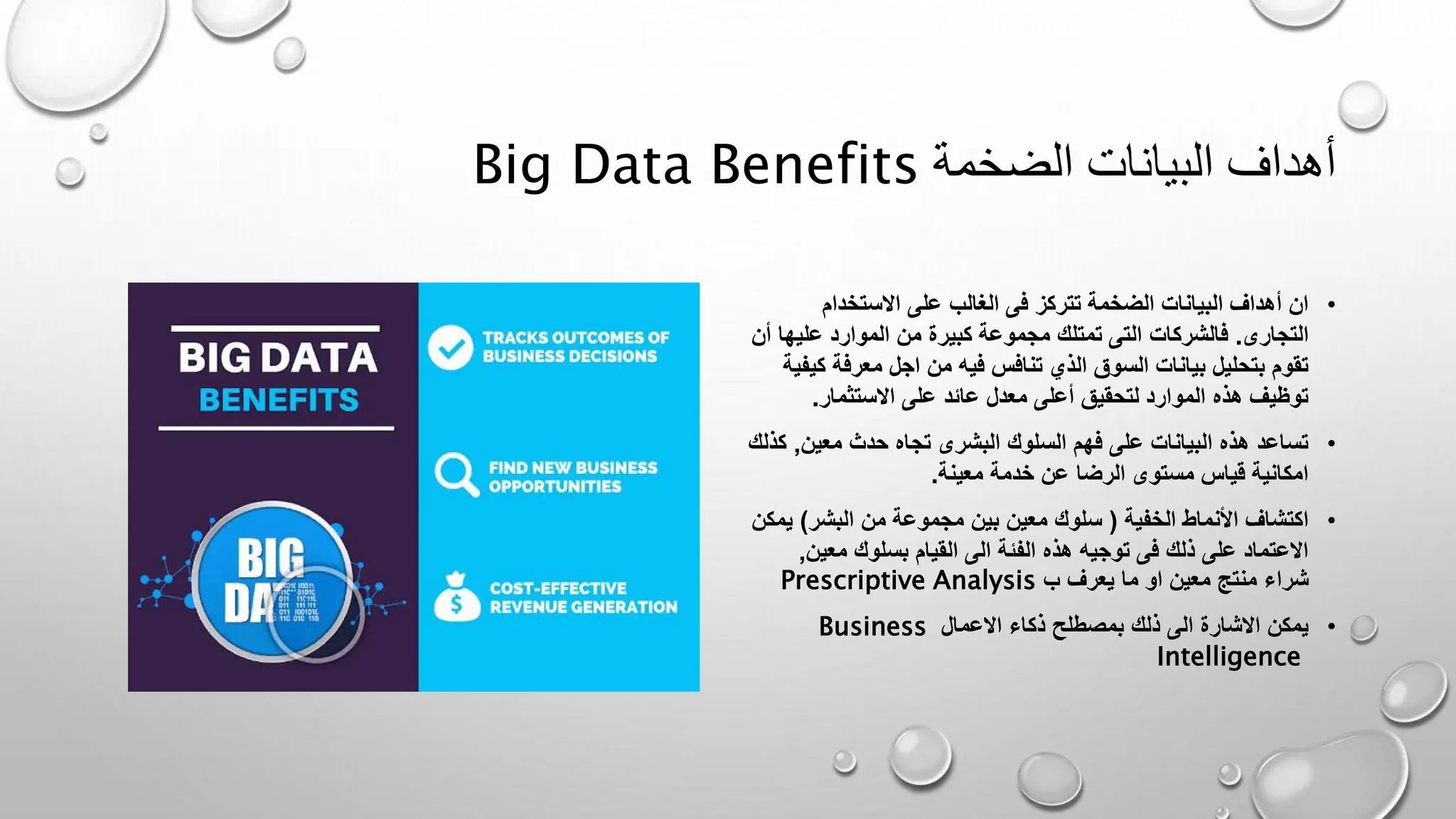 Big Data & Internal control.pptx