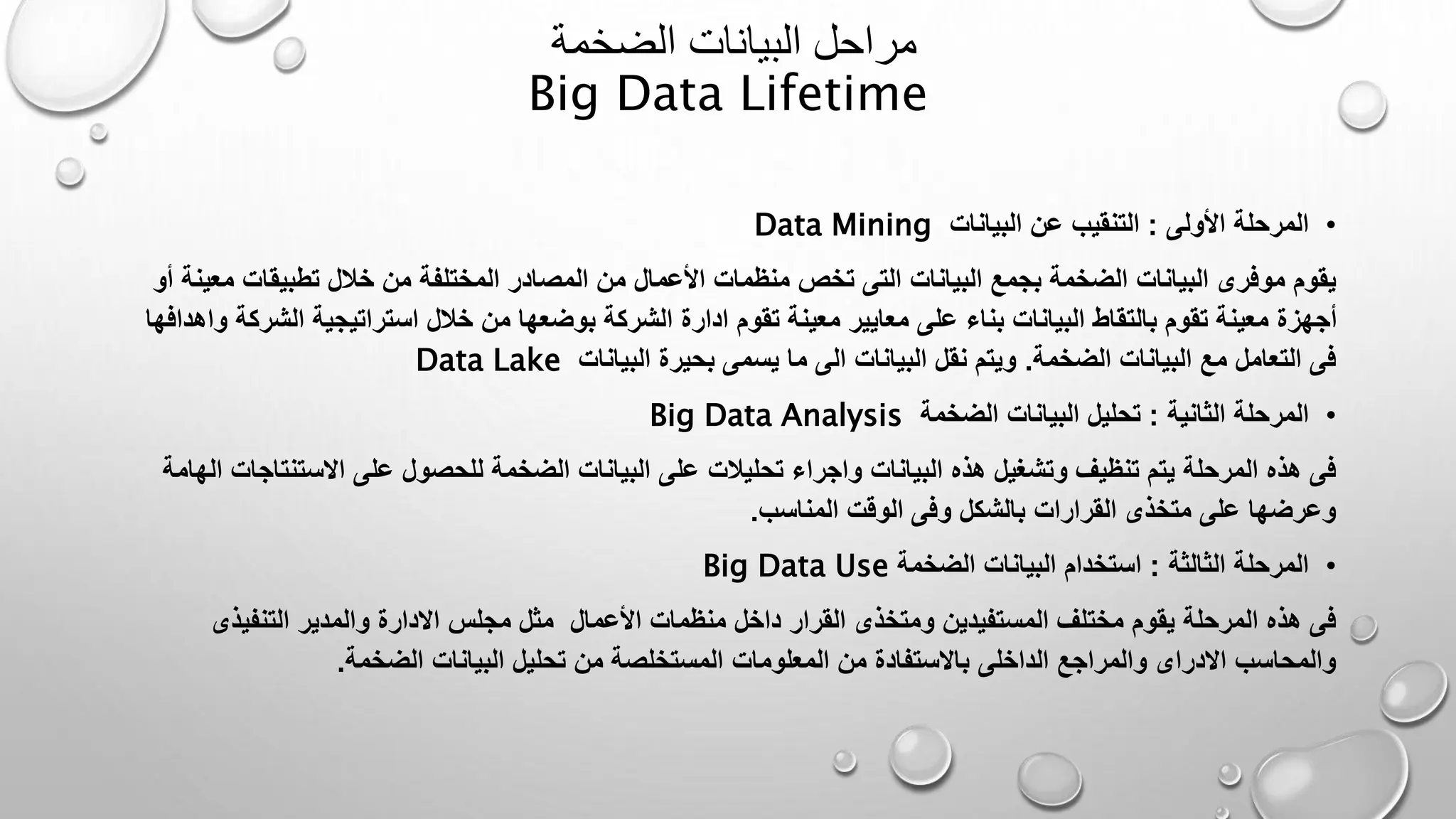 Big Data & Internal control.pptx