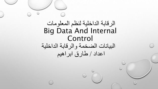 Big Data & Internal control.pptx